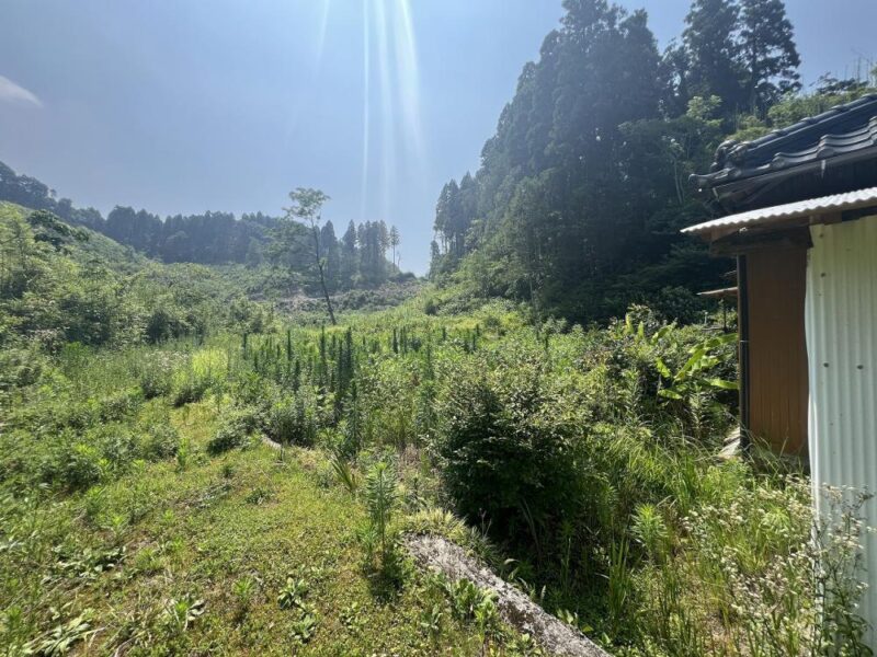 空き家バンク【売買】30万円 鹿児島県鹿屋市大姶良町 自然豊かな場所 畑・物置・駐車場付き4K平屋古民家 縁側・続き間有 - Sumai空き家